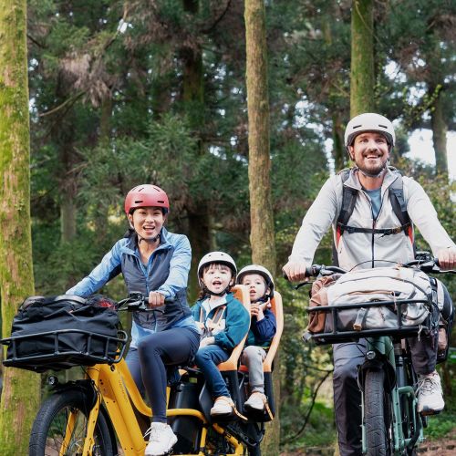 The Best Family Electric Cargo Bike : Pakyak E+ | Momentum Bikes US ...