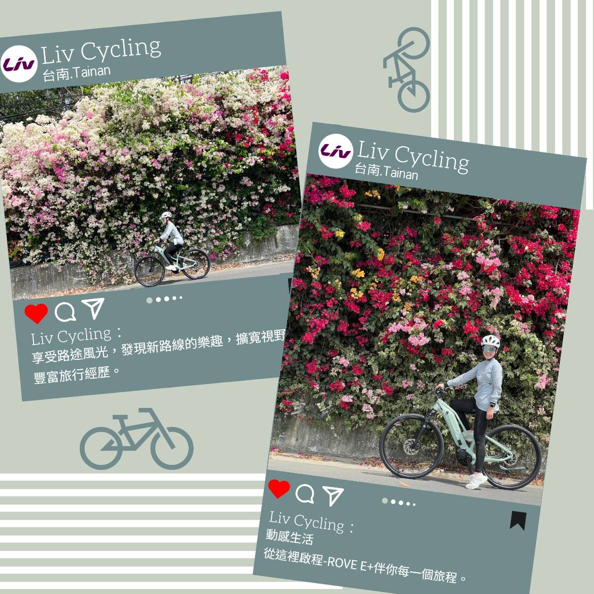 ROVE E+ 電動輔助自行車 | Liv Cycling Taiwan 臺灣